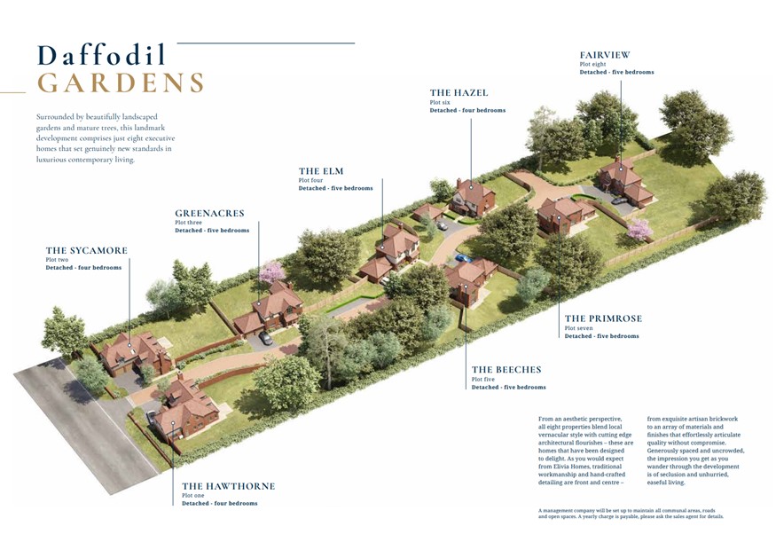 Introducing Daffodil Gardens