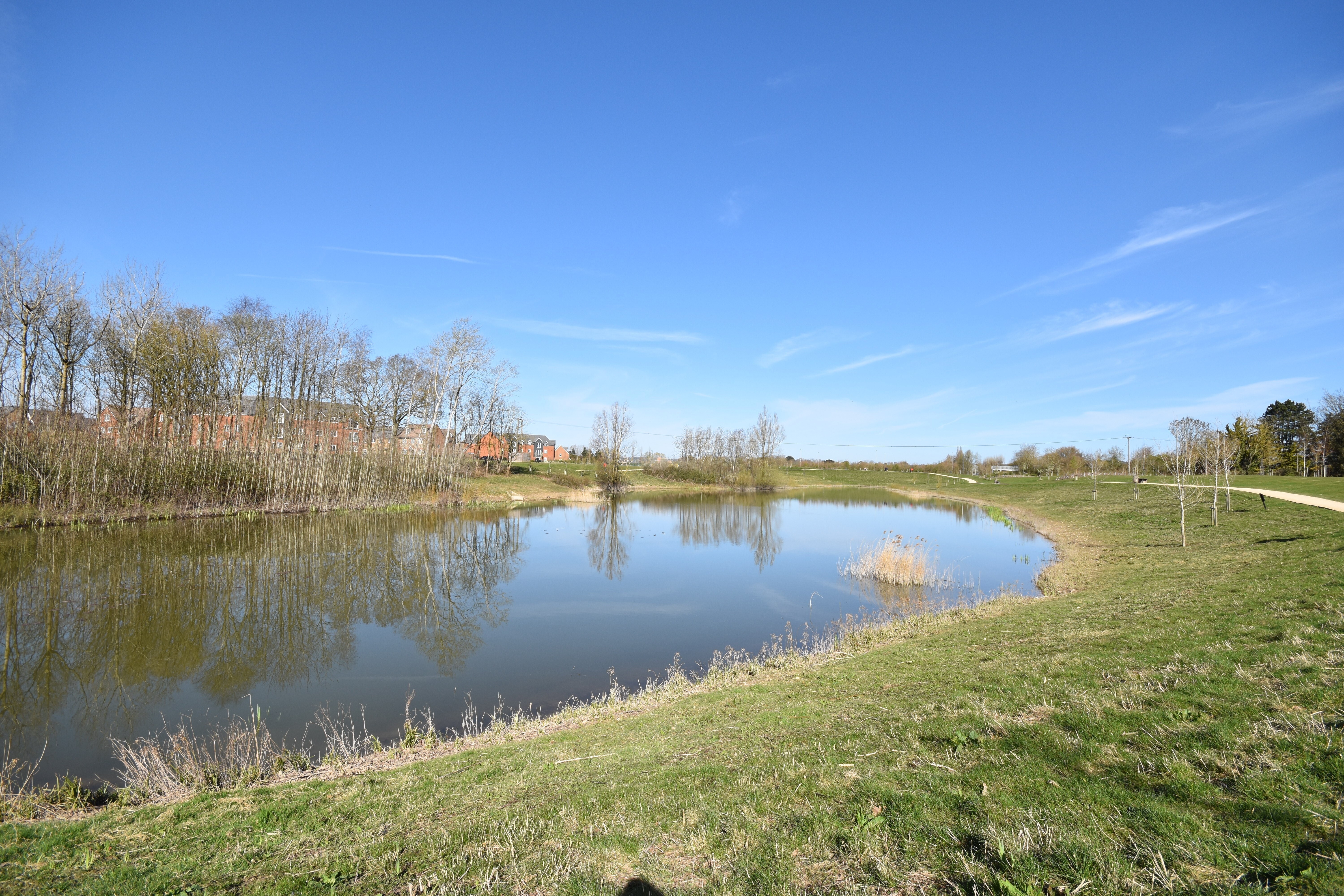 Discover Willowmere